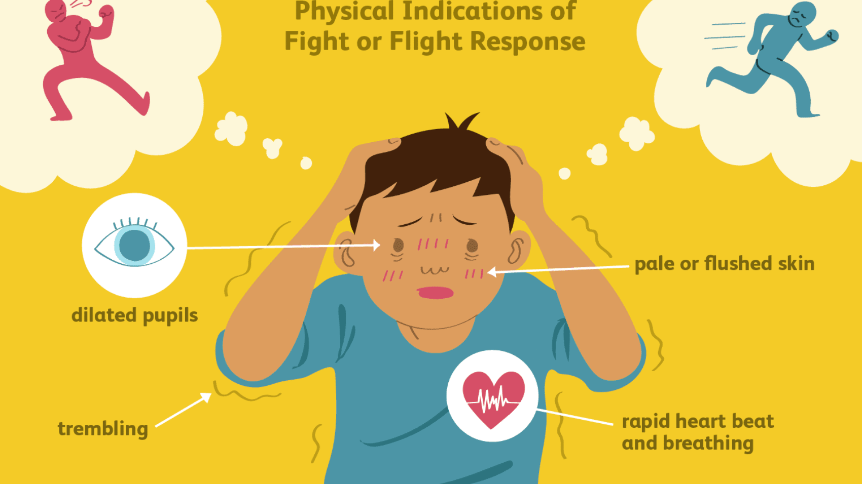 What Is the Fight-or-Flight Response? - Materound